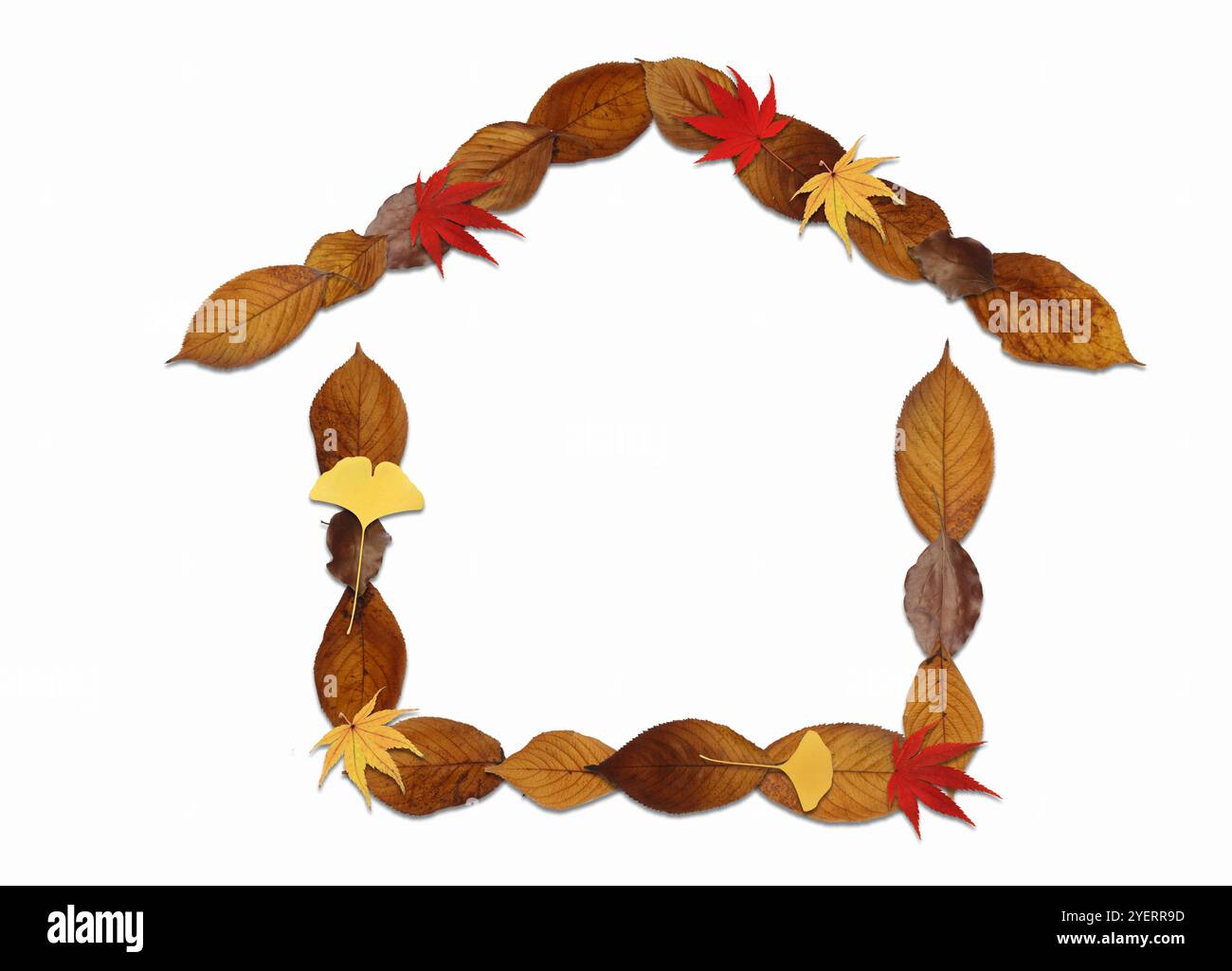 Letters on dead leaves, white background Stock Photo - Alamy