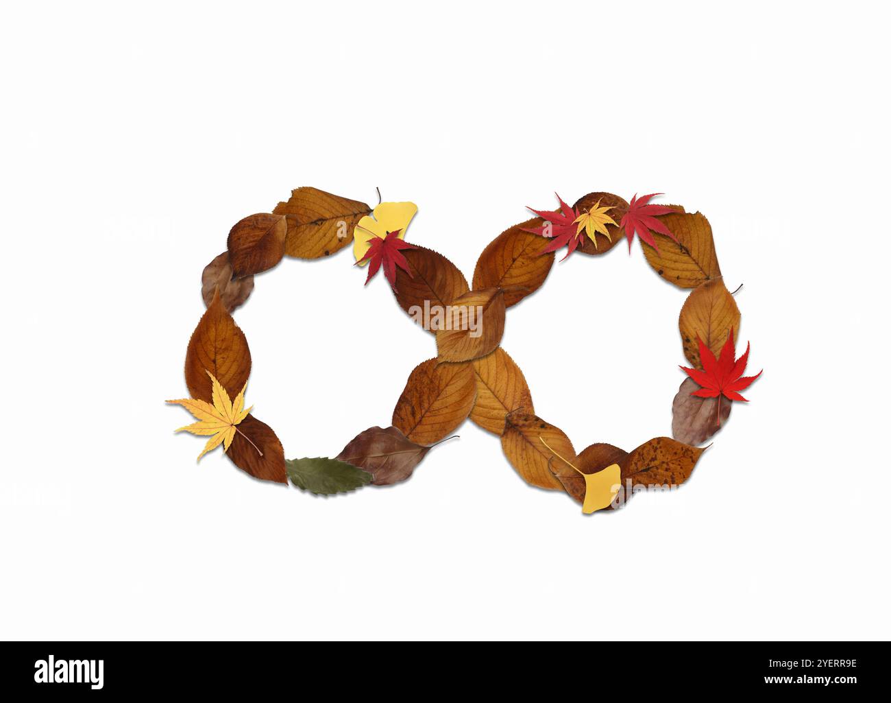 Leaves dead Cut Out Stock Images & Pictures - Alamy