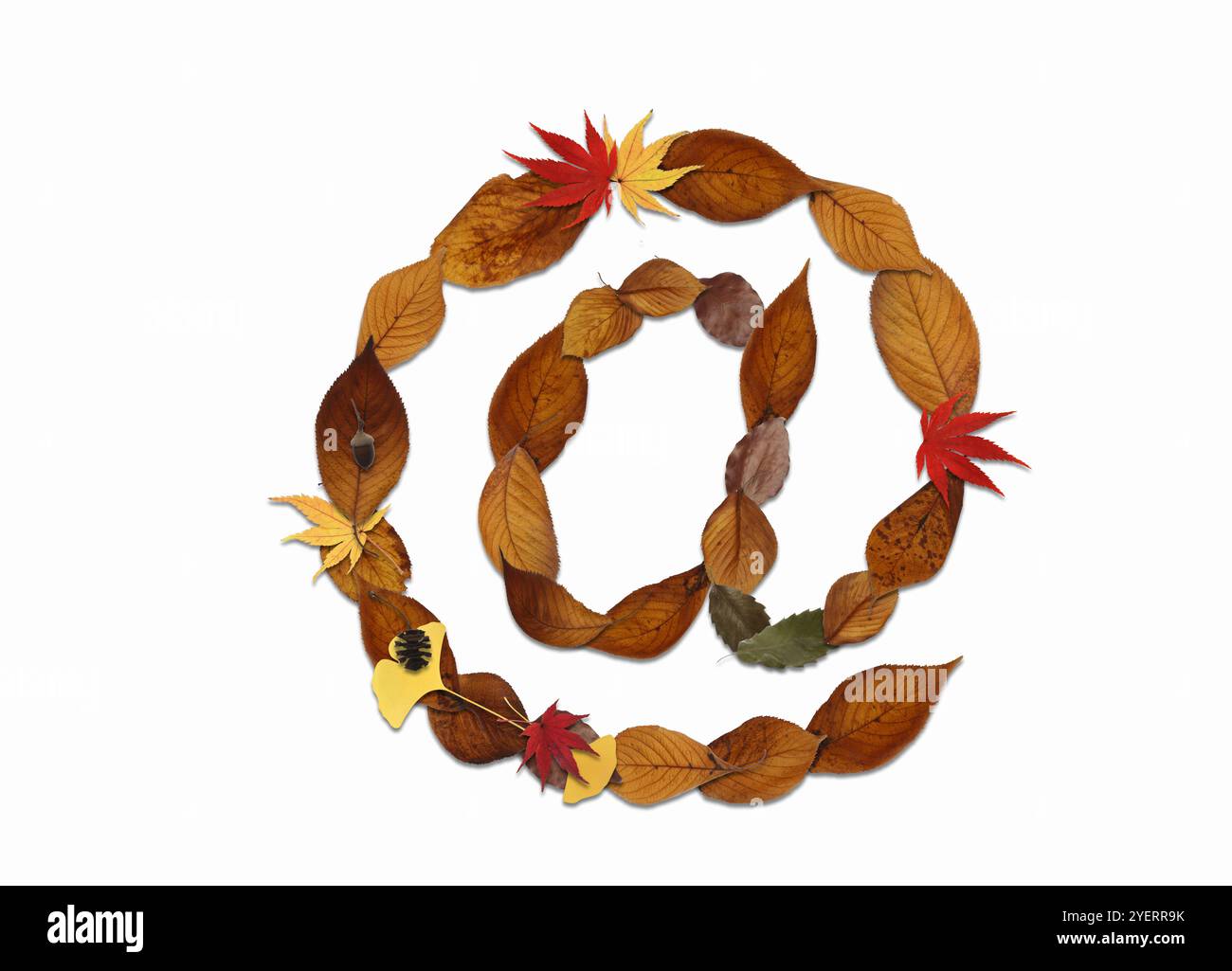Letters on dead leaves, white background Stock Photo - Alamy