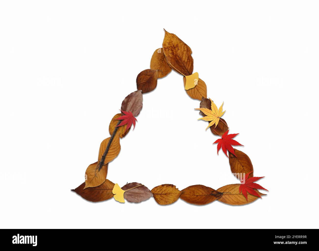 Letters on dead leaves, white background Stock Photo - Alamy