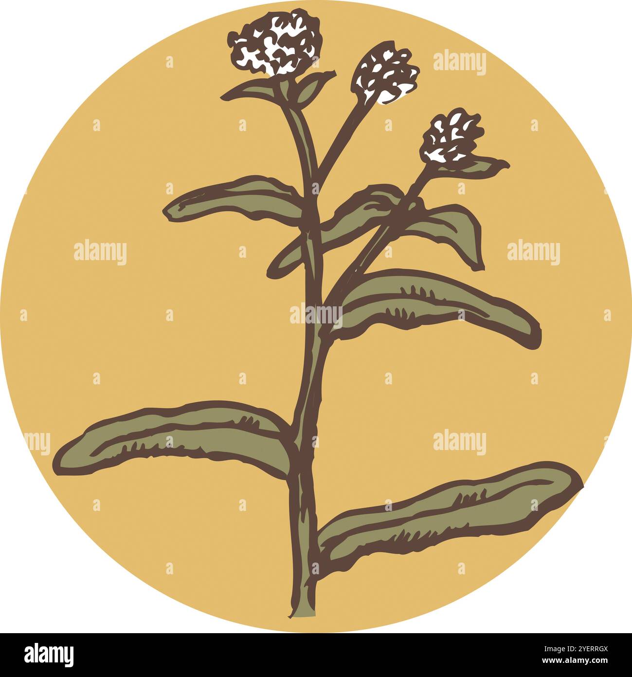 Gogyo hi-res stock photography and images - Alamy