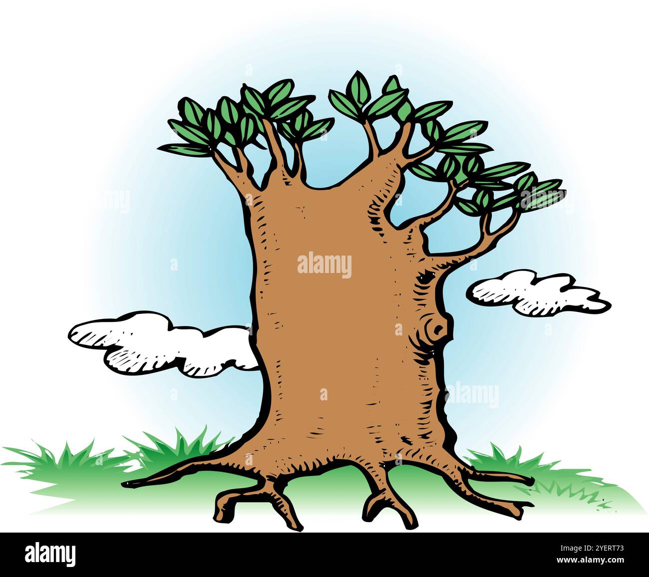 Trees in spring Stock Photo - Alamy