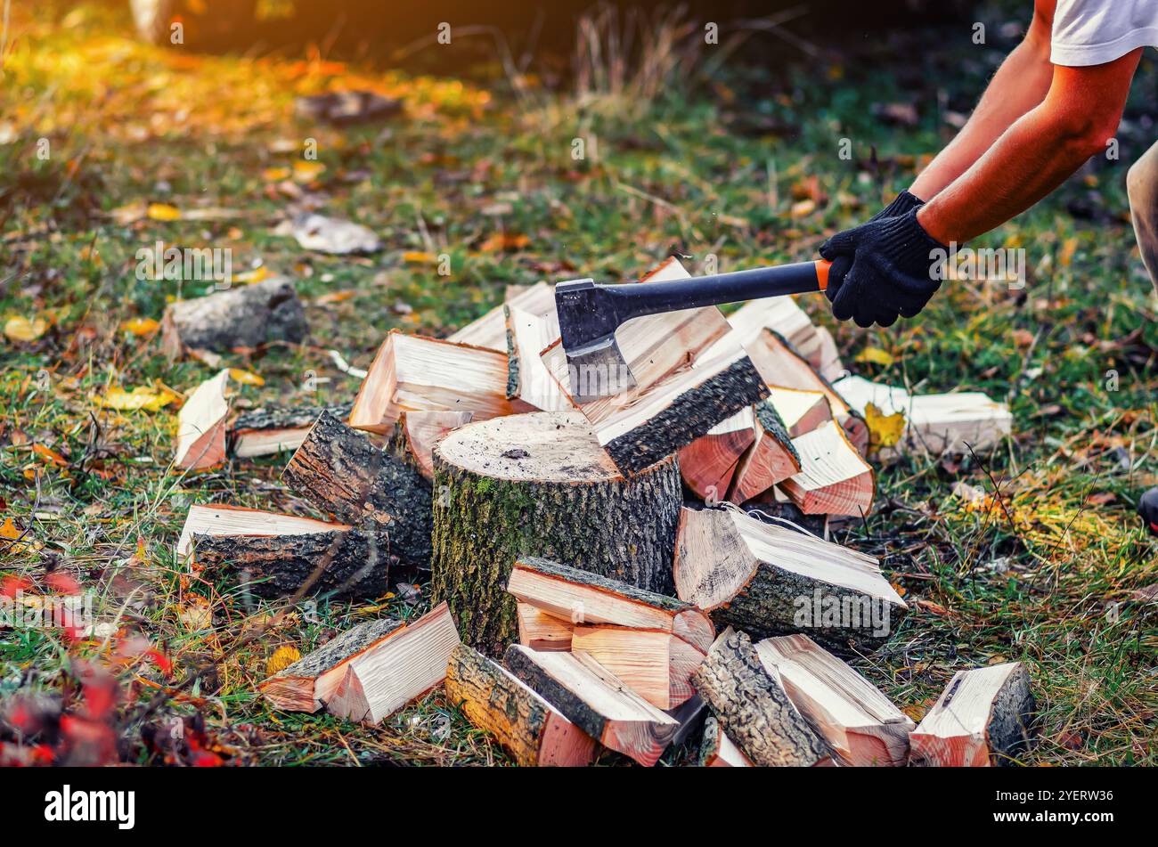 Ax in hands man. Chopping firewood for heating. Piece of wood on stump ...