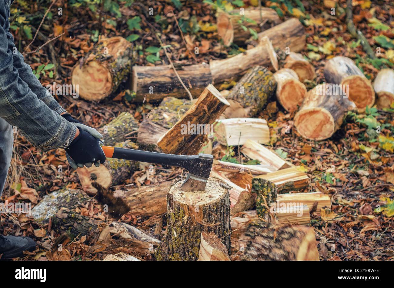 Man holds ax. Chopping firewood for heating in winter. Piece of log ...