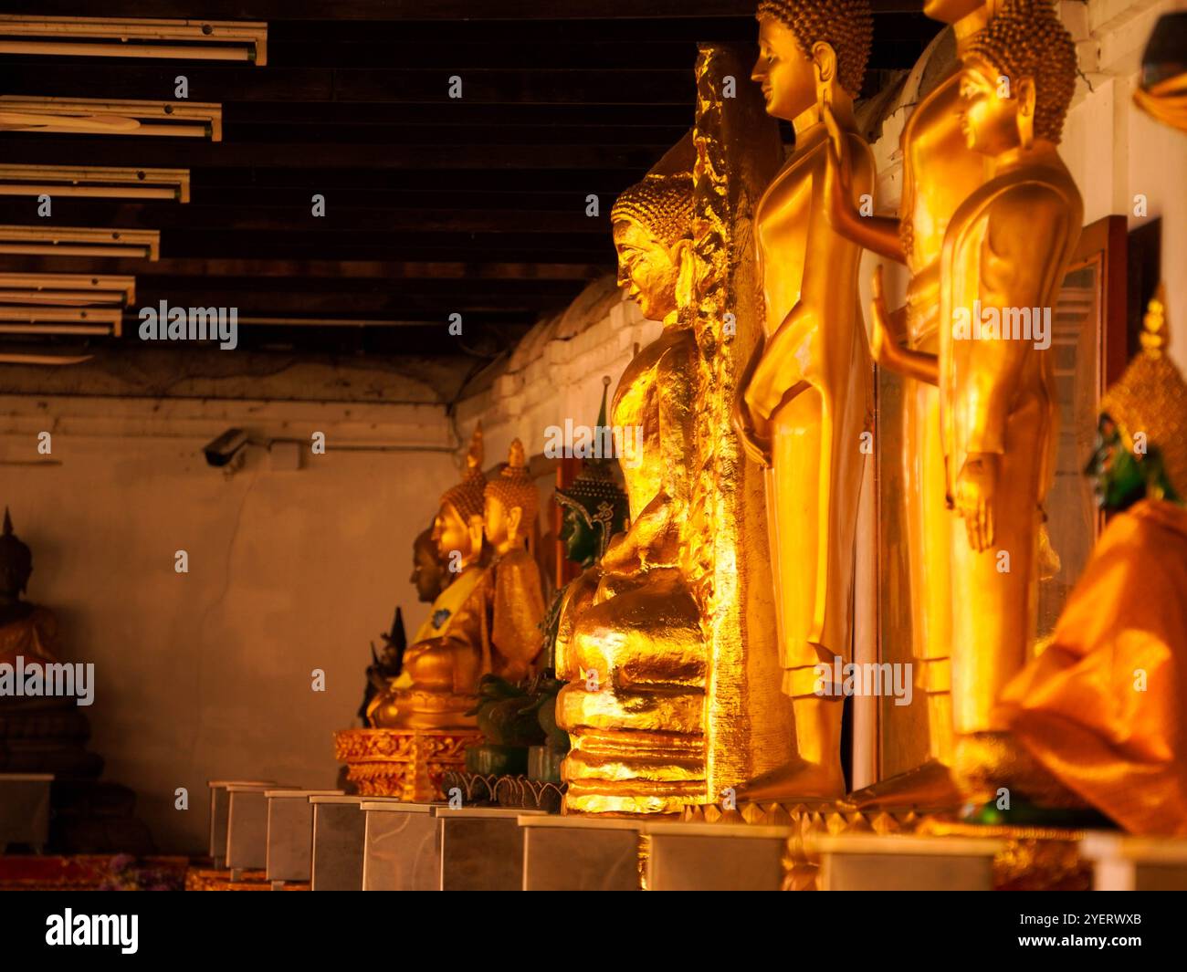 Statues line hi-res stock photography and images - Alamy
