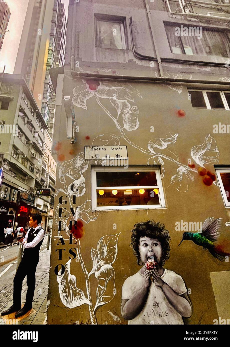 A beautiful wall mural on the corner building of Shelley street and ...