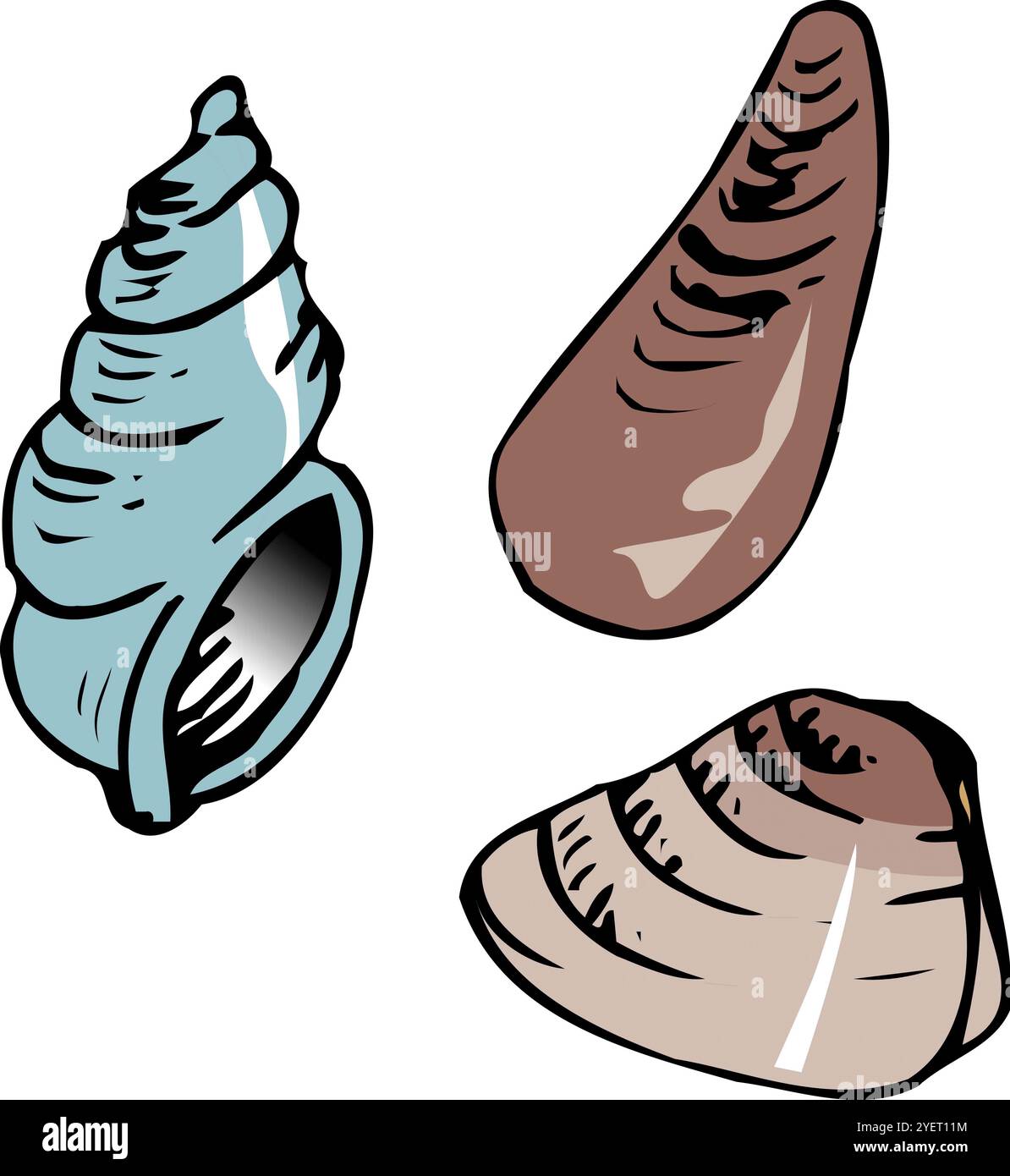 Shells illustrations hi-res stock photography and images - Alamy