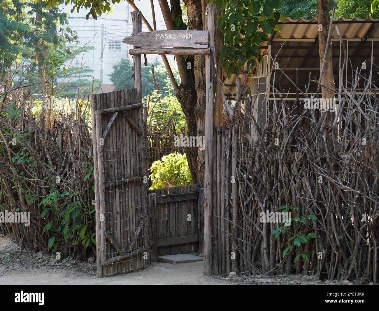 Rustic fence made with tree branches and wooden posts with a small gate ...
