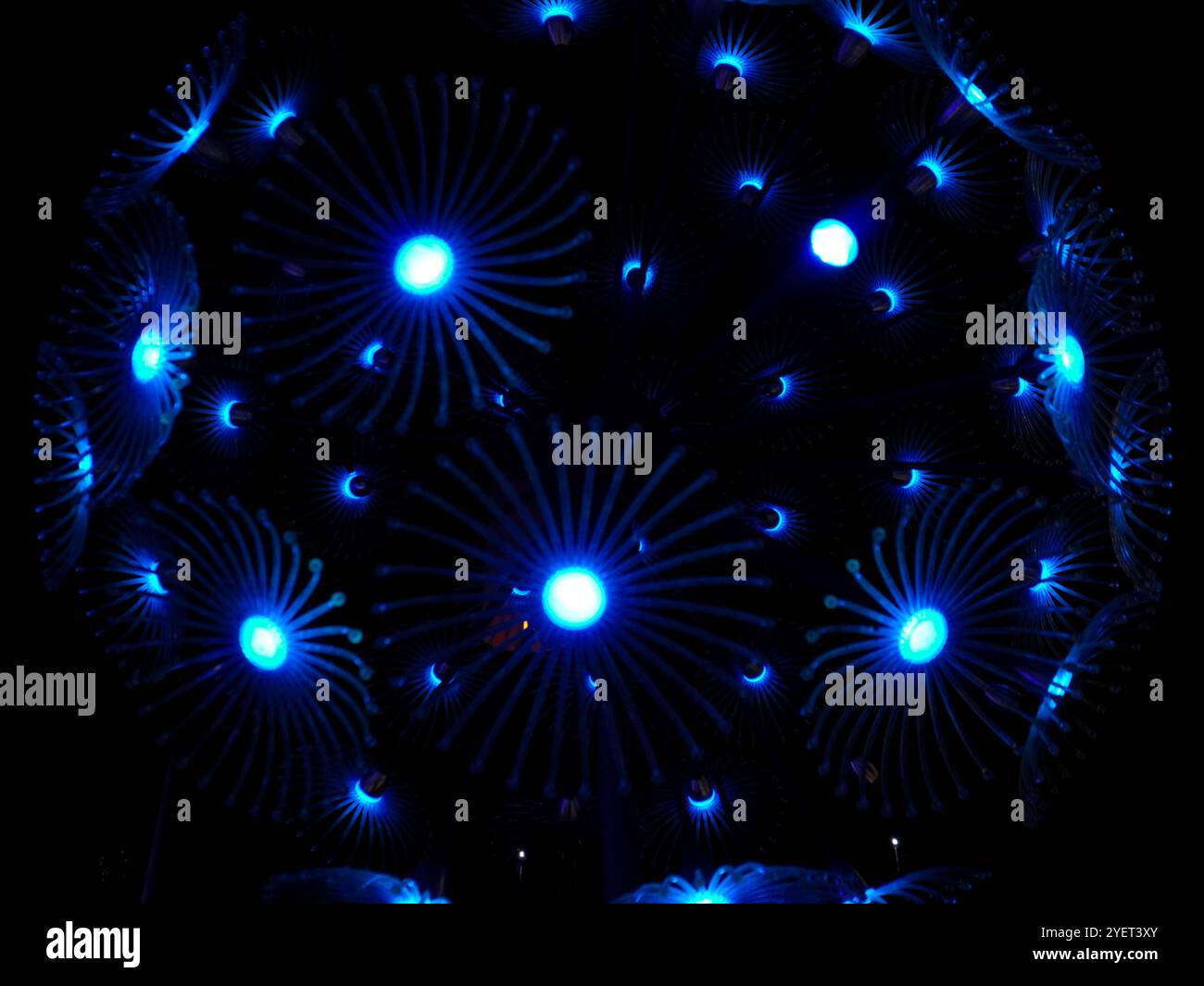 Jellyfish simulation hi-res stock photography and images - Alamy