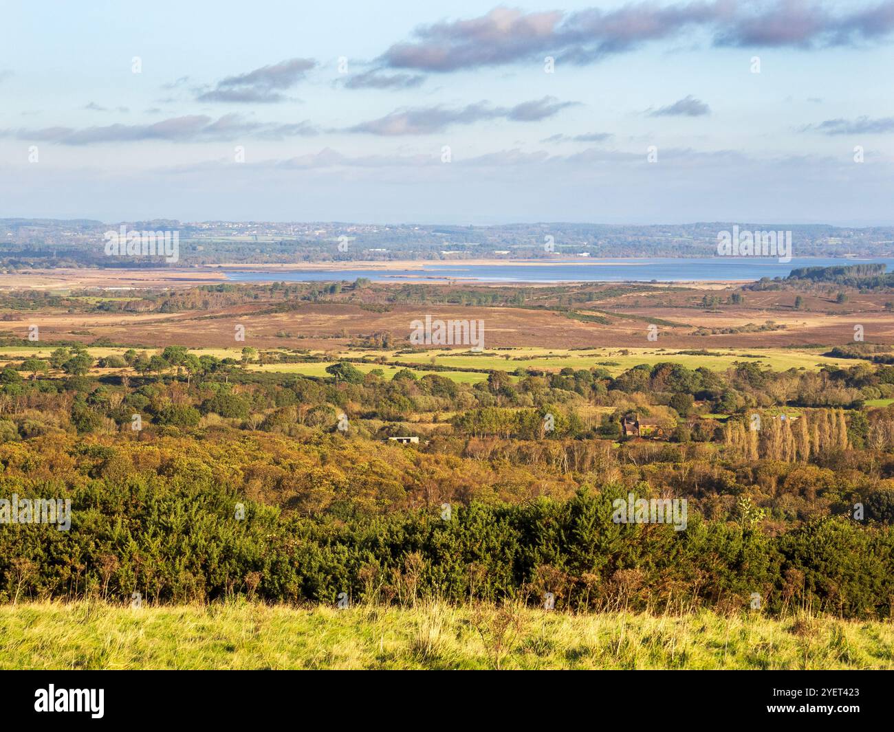 Poole harbour nature reserve hi-res stock photography and images - Alamy