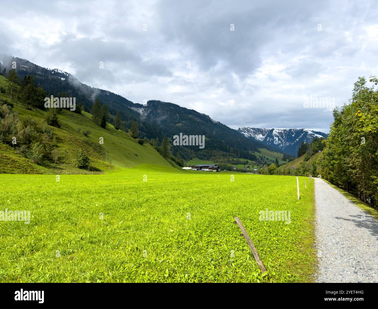 A cycle path in an alpine landscape with lush green meadows, mountains ...