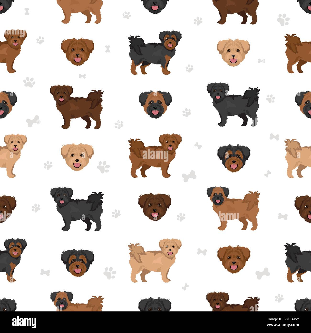 Affenpoo seamless pattern. Affenpinscher Poodle mix. Different coat ...