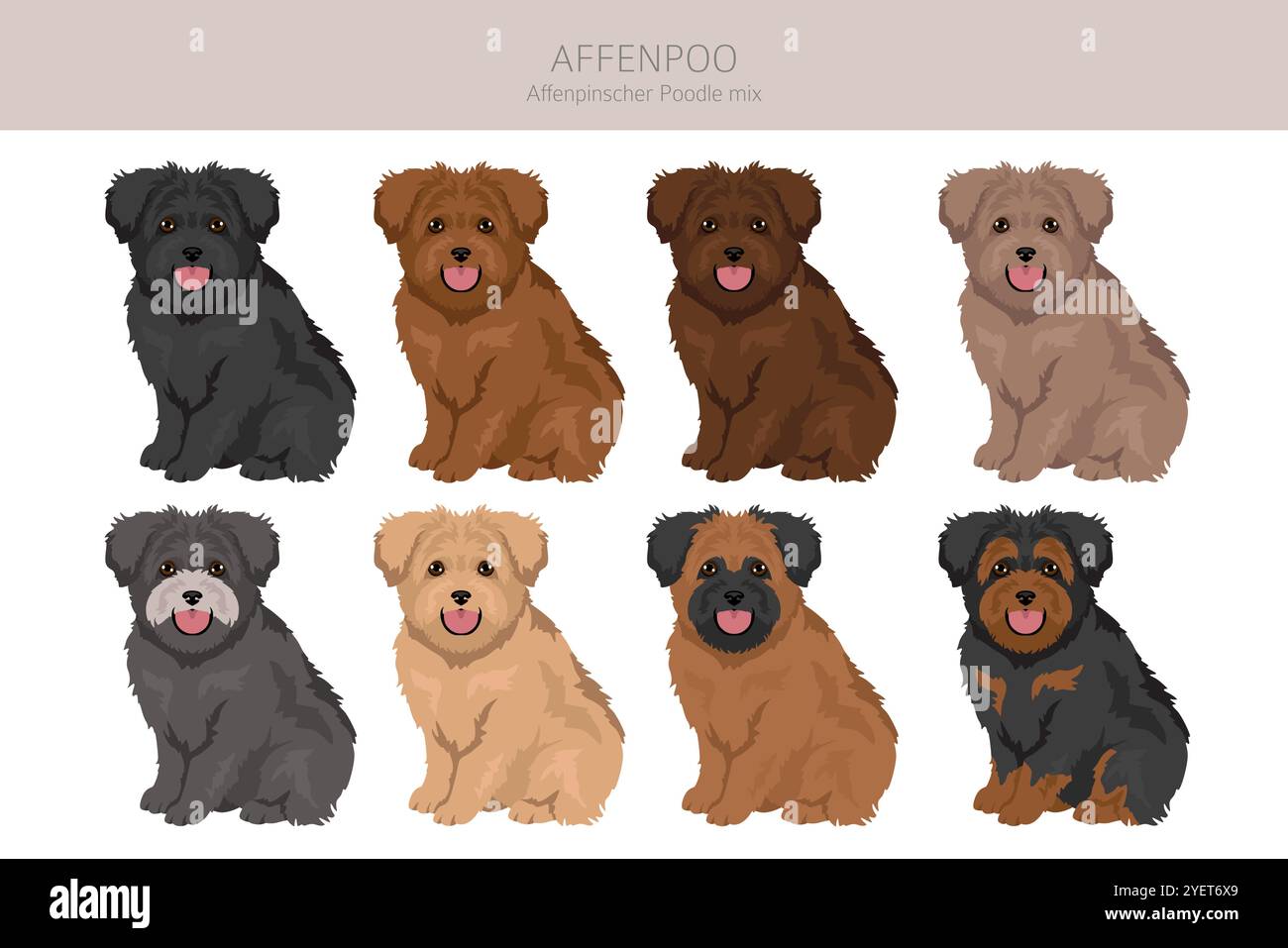 Affenpoo Stock Vector Images - Alamy