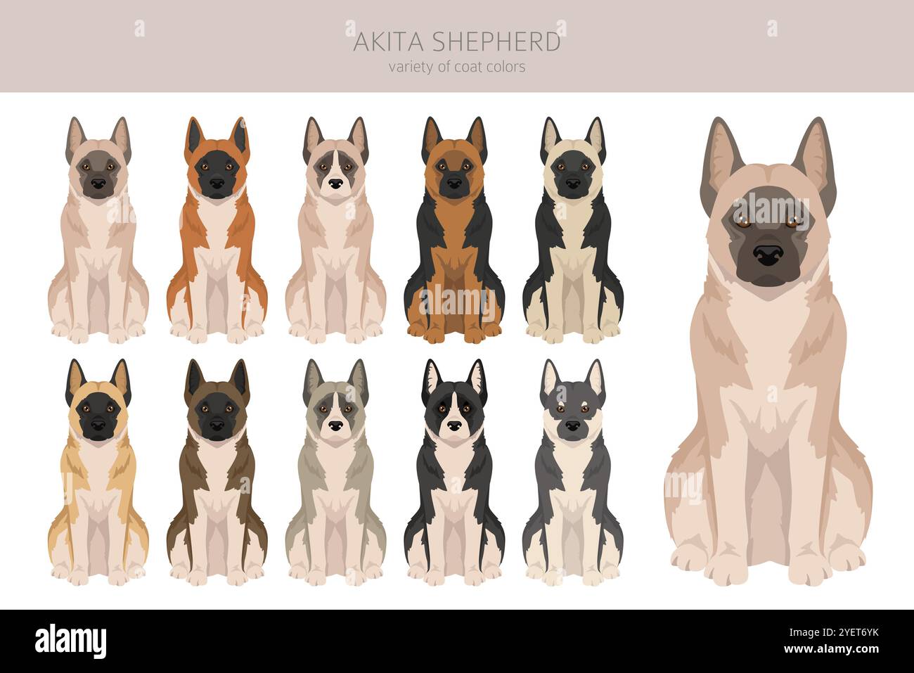 Akita Shepherd clipart. Akita Inu German Shepherd mix. Different coat ...