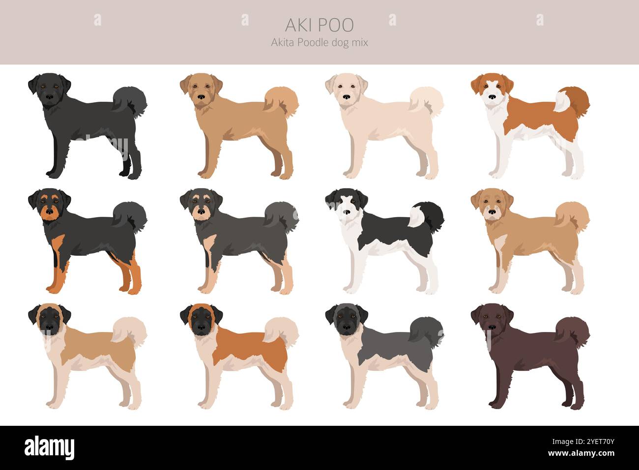 Aki design Stock Vector Images - Alamy