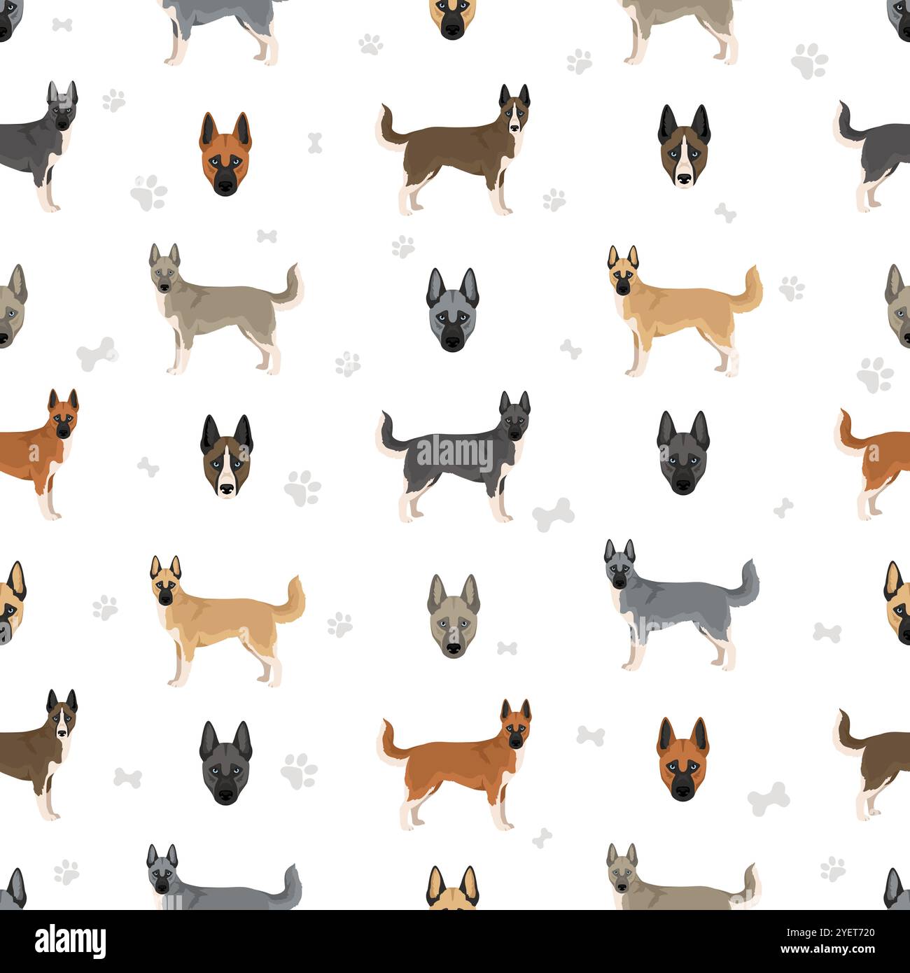 Akita Inu Siberian Husky mix. Akita Husky seamless pattern. Different ...