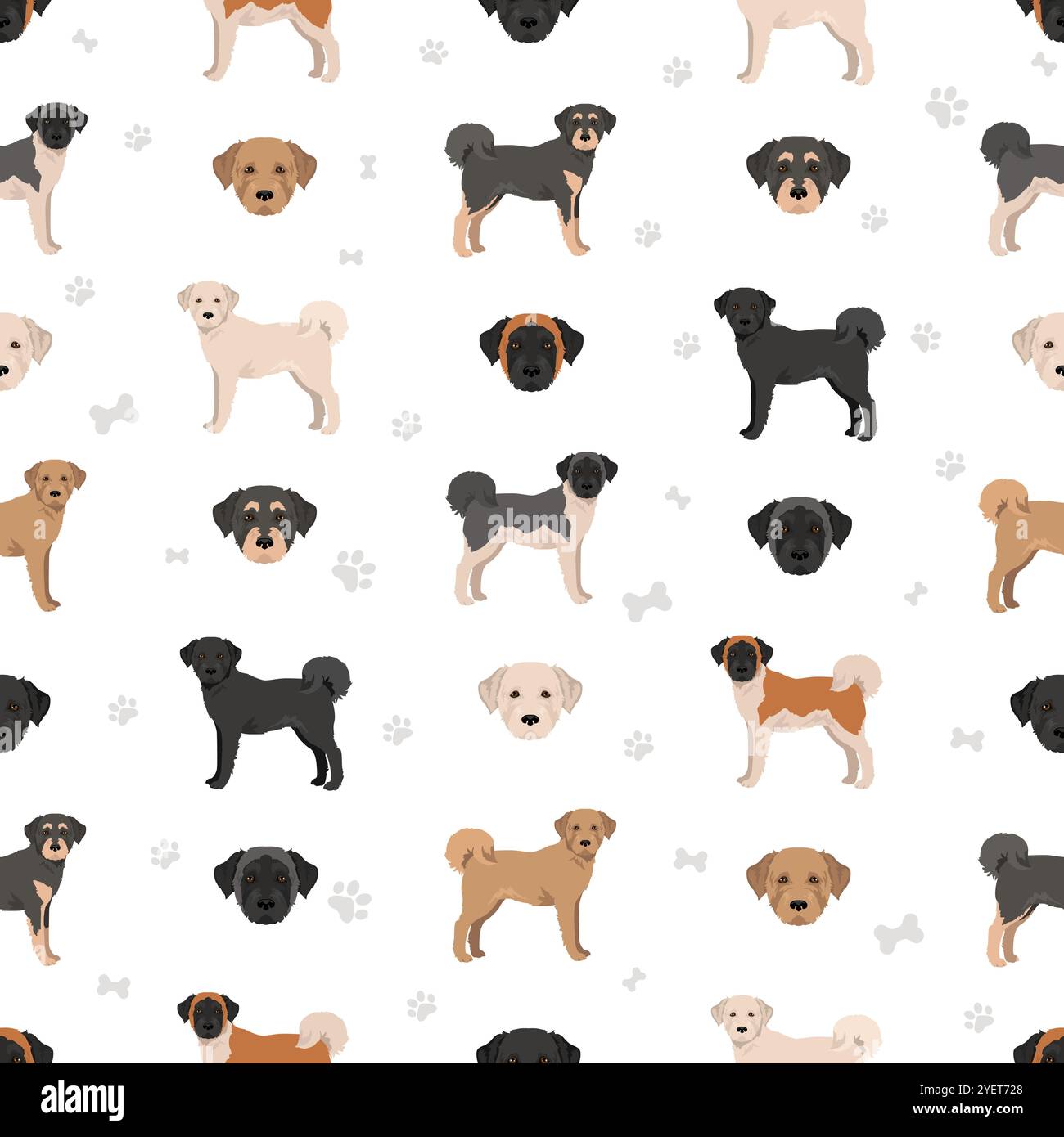 Aki vector hi-res stock photography and images - Alamy
