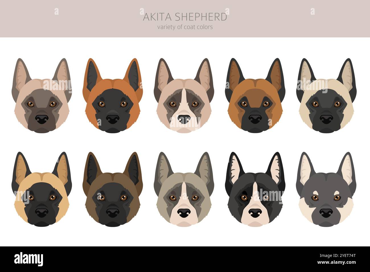 Akita Shepherd clipart. Akita Inu German Shepherd mix. Different coat ...