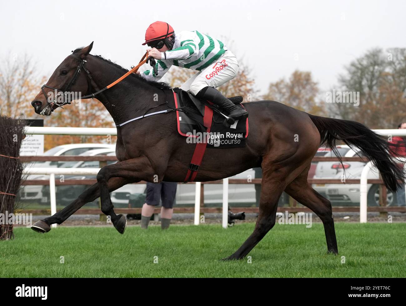 The Yellow Clay ridden by Sam Ewing on their way to winning the Irish ...