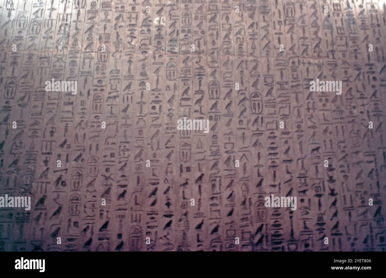 Interior, hieroglyphics, Pyramid of Unas, Saqqara, Gouvernement al ...