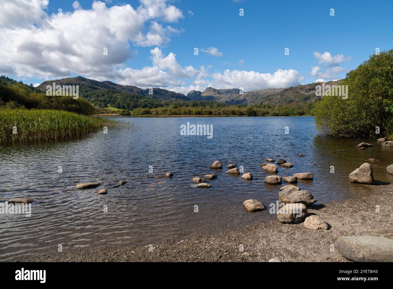 Elter Water lake near Ambleside in the Lake District, Cumbria, England ...