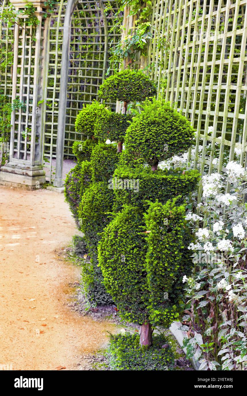 Versailles garden arch hi-res stock photography and images - Alamy