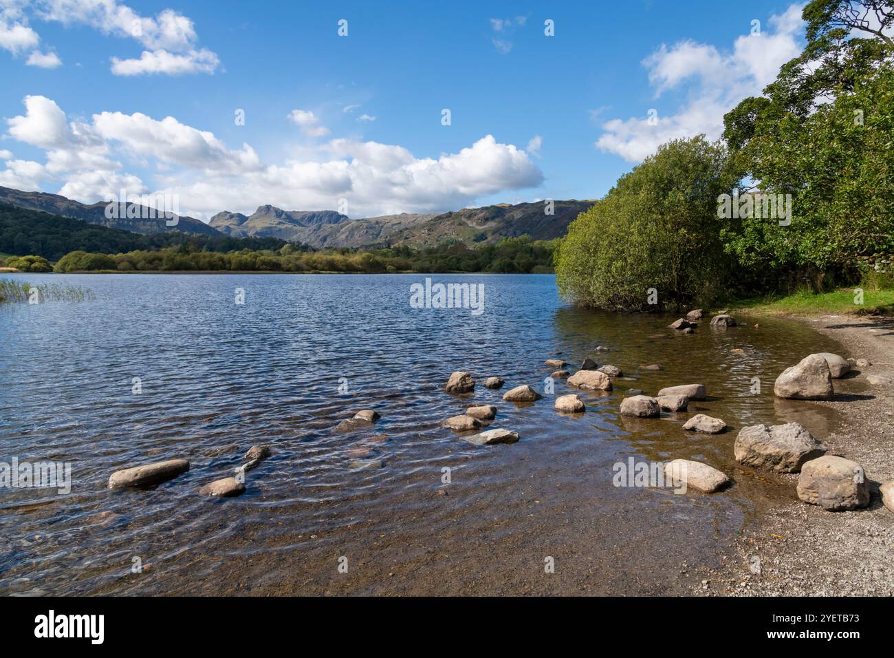 Elter Water lake near Ambleside in the Lake District, Cumbria, England ...