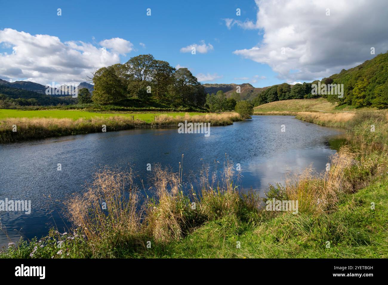 The river Brathay flowing from Elter Water lake in the Lake District ...