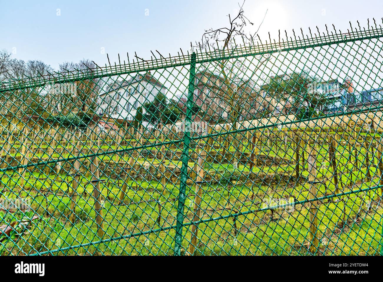 District Montmartre. Magnificent, gorgeous Paris in early spring Stock ...