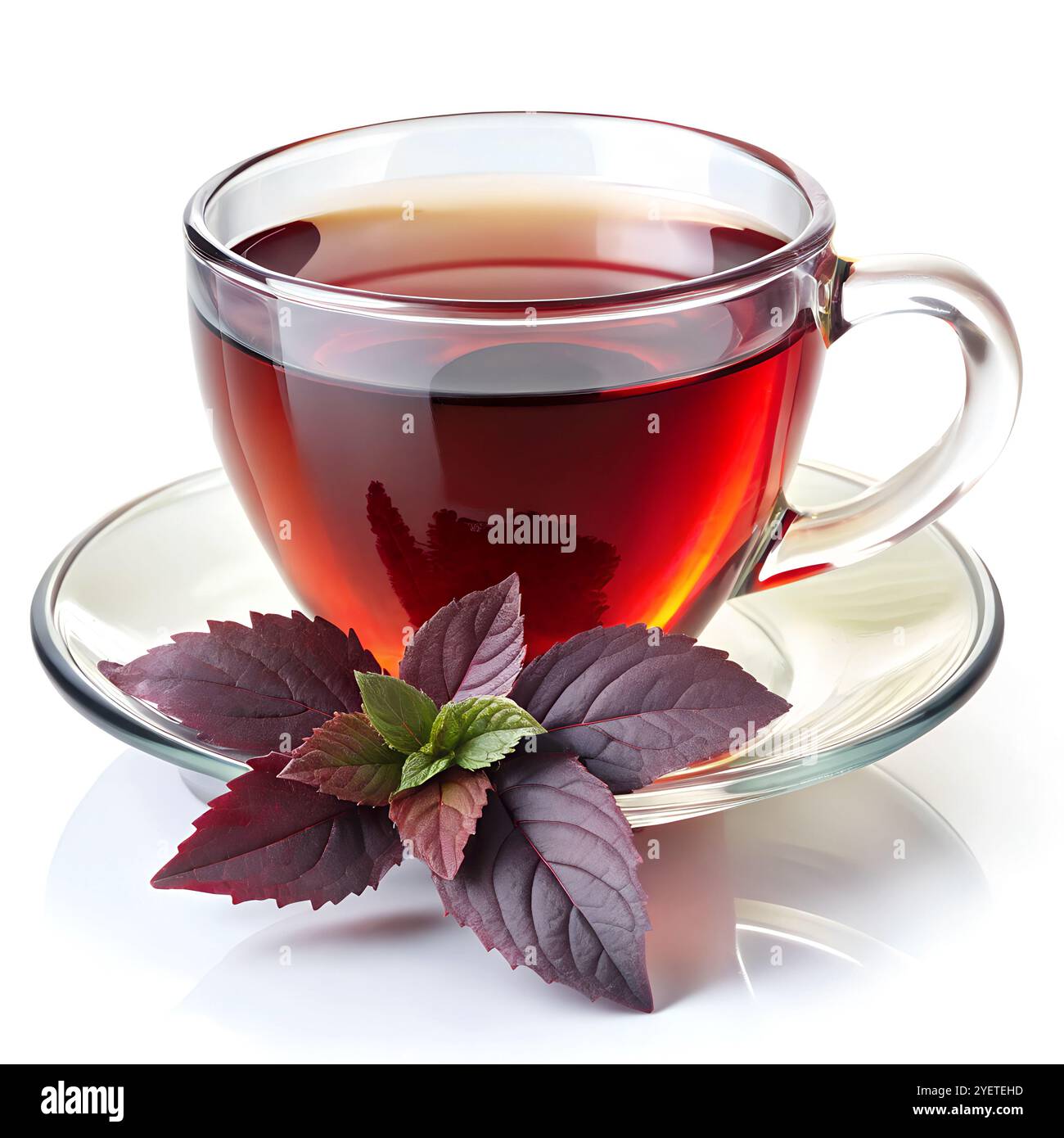 Fresh herbal tea with red tulsi leaves isolated on white background ...