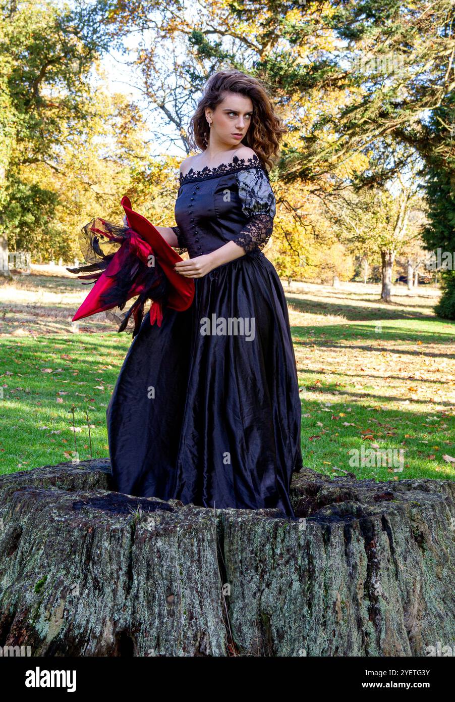 A female witch wearing a long black dress and a witch's hat sits in the ...