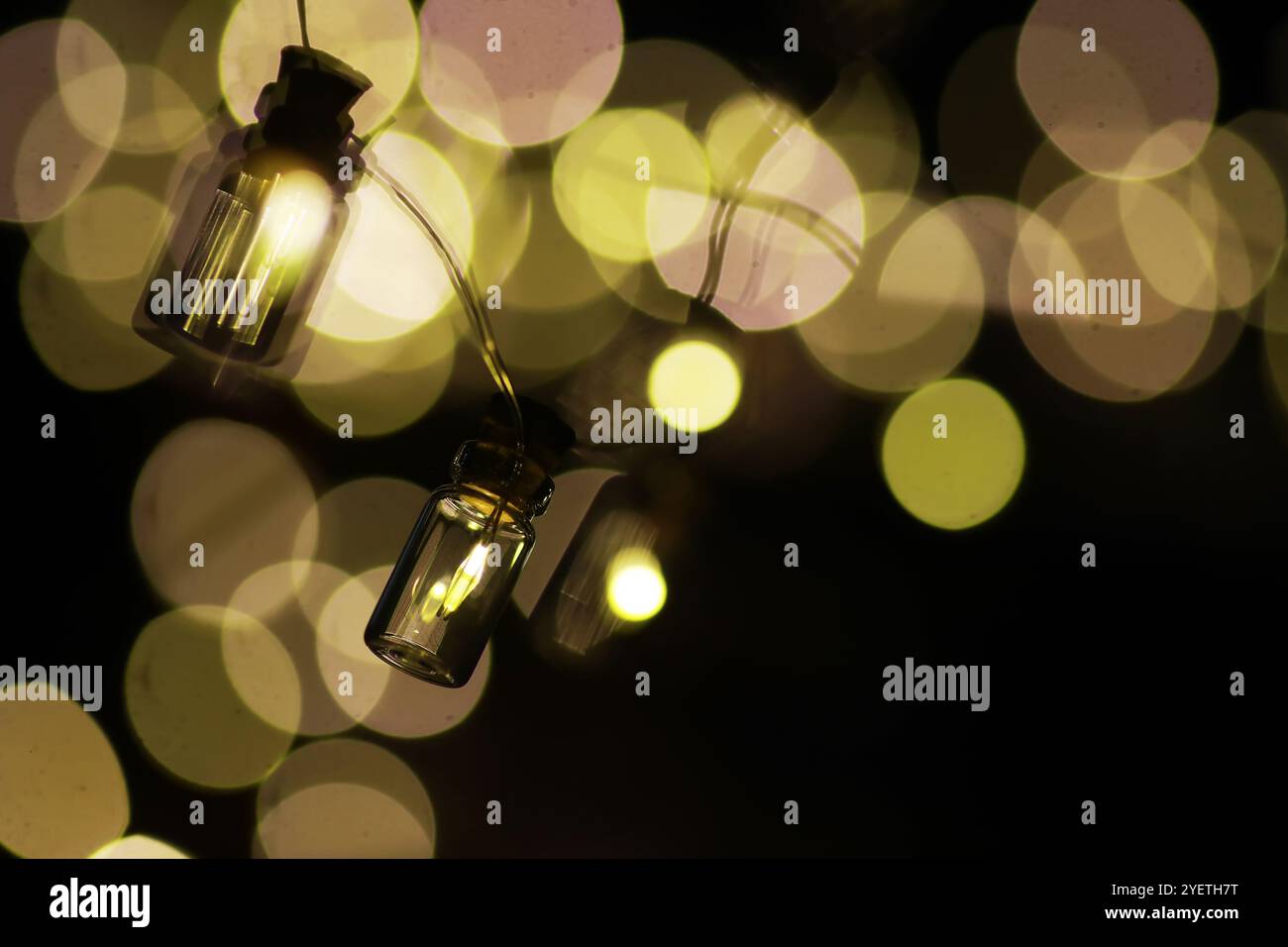 Christmas garland of glass bottles, jars with a plant inside. New year and christmas concept. A ...