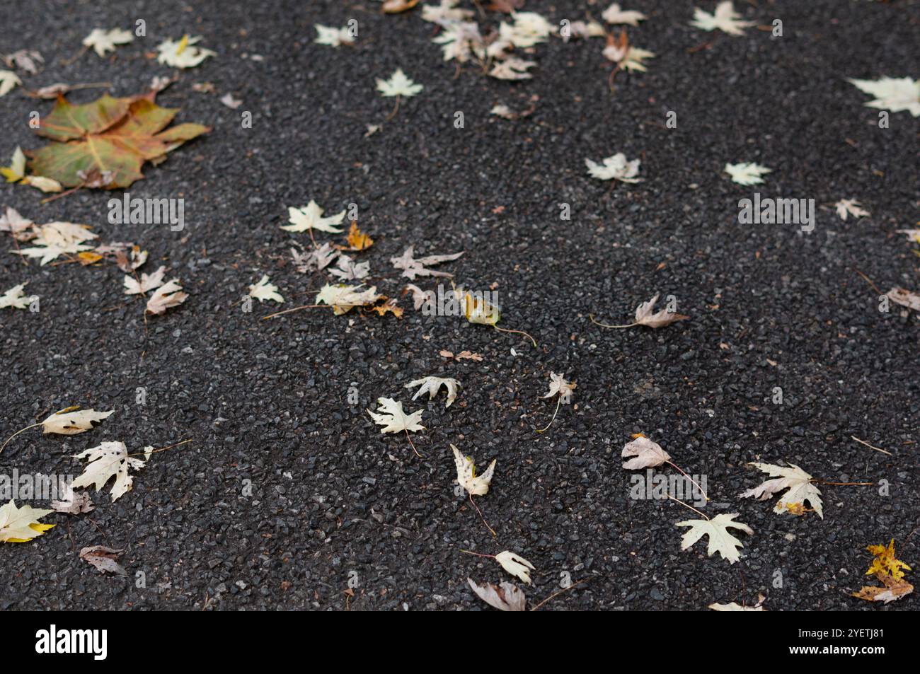 Aesthetic pavement hi-res stock photography and images - Alamy