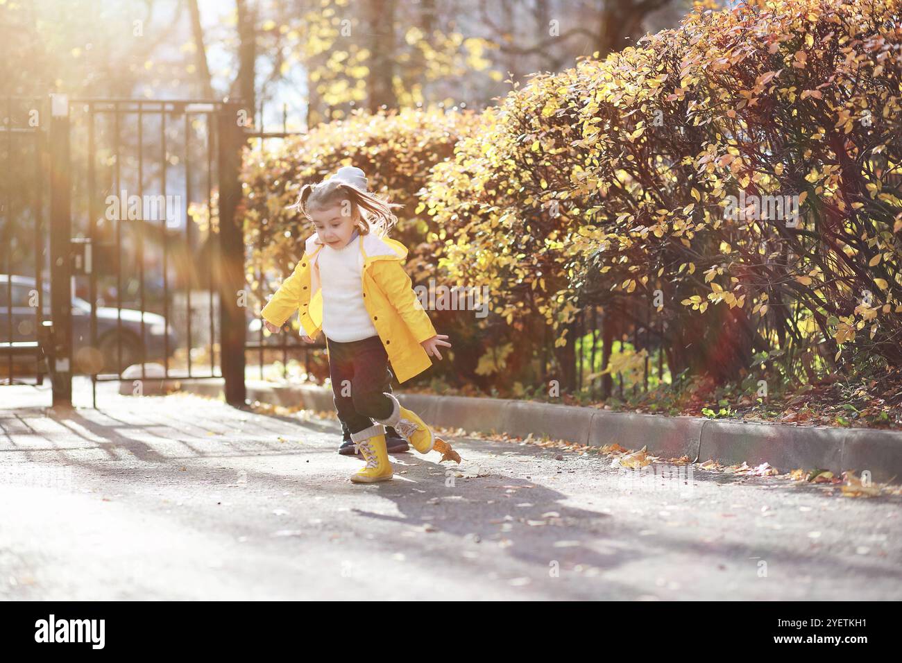 Children walk in the autumn park in the fall Stock Photo - Alamy
