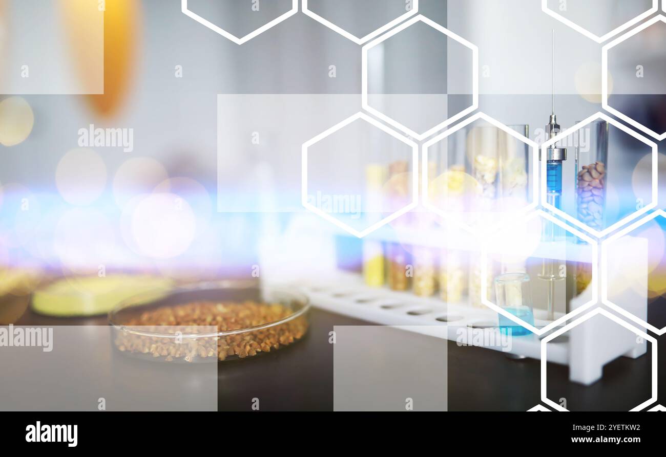 Test tubes with seeds of selection plants. Research Analyzing ...