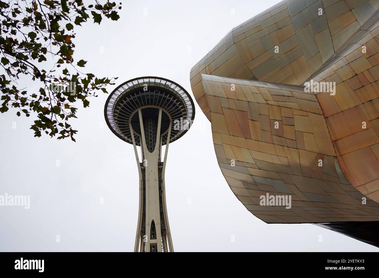 Looking up at the Space Needle and MoPop Museum in Seattle, Washington ...