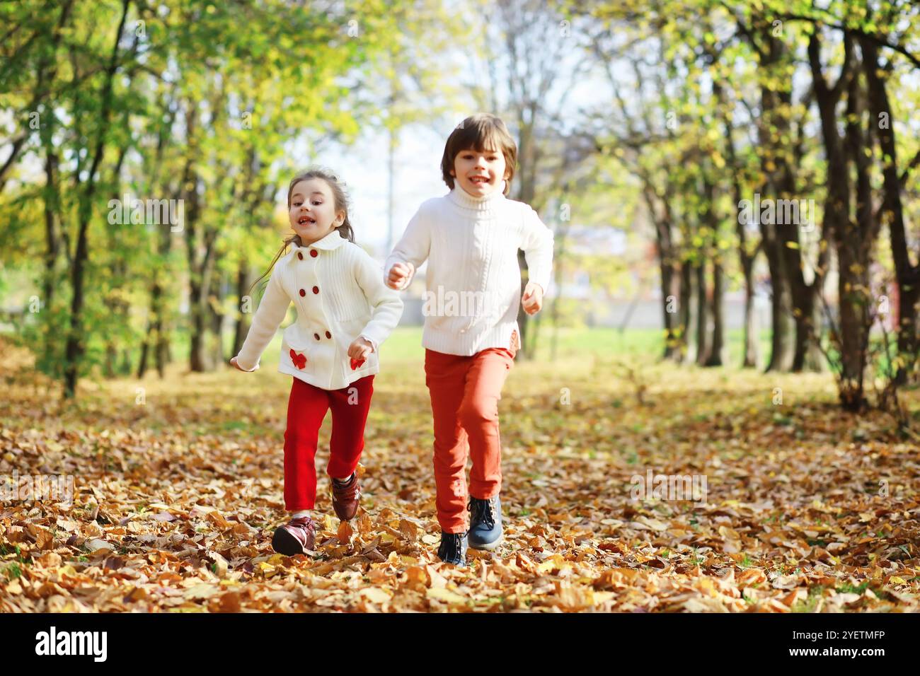 Children for a walk in autumn park. Leaf fall in the park. Family. Fall ...