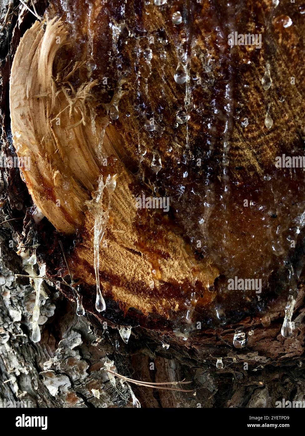 Dripping lines hi-res stock photography and images - Alamy