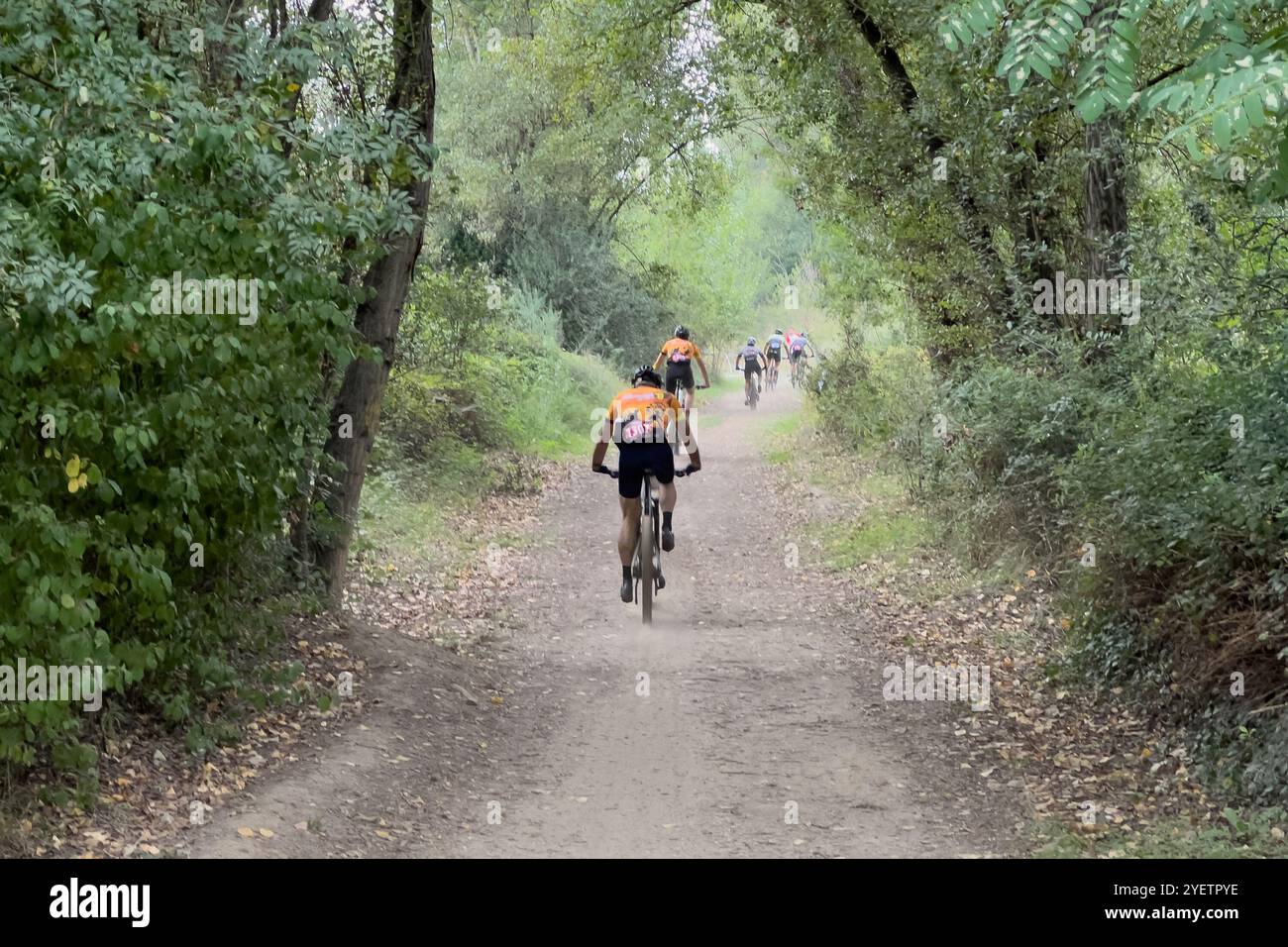 rear view group athletes riding mountain bike along trail in forest ...