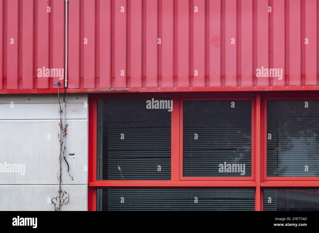 Red corrugated iron facade with window featuring blinds and climbing ...