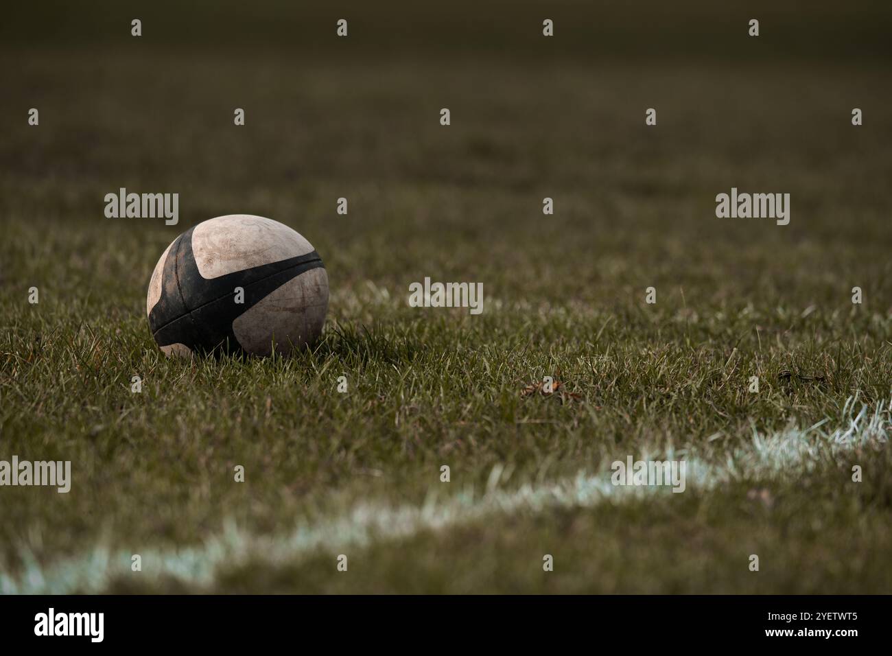 Grass rugby ball hi-res stock photography and images - Alamy