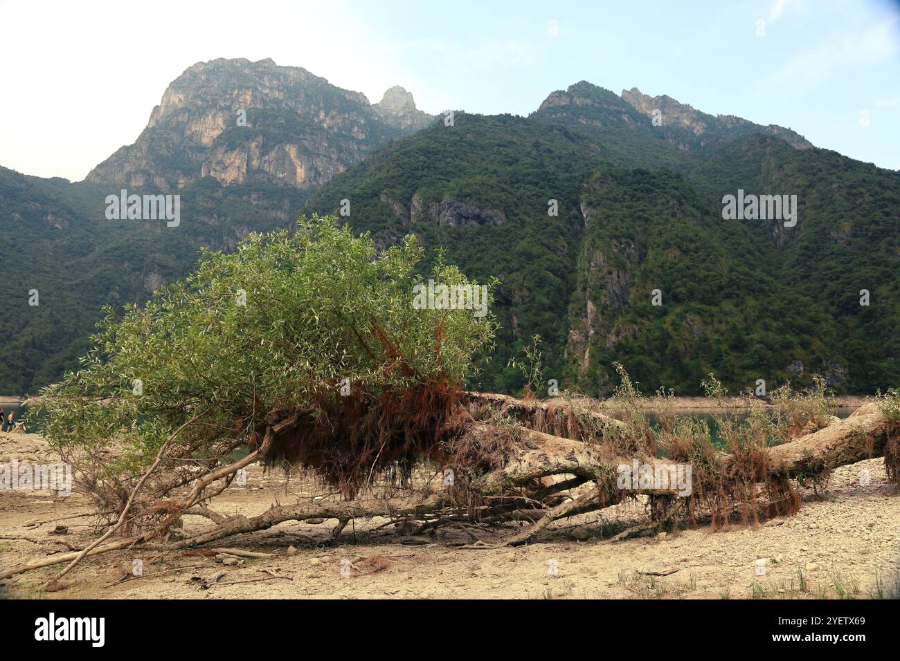 lago del mis Stock Photo - Alamy