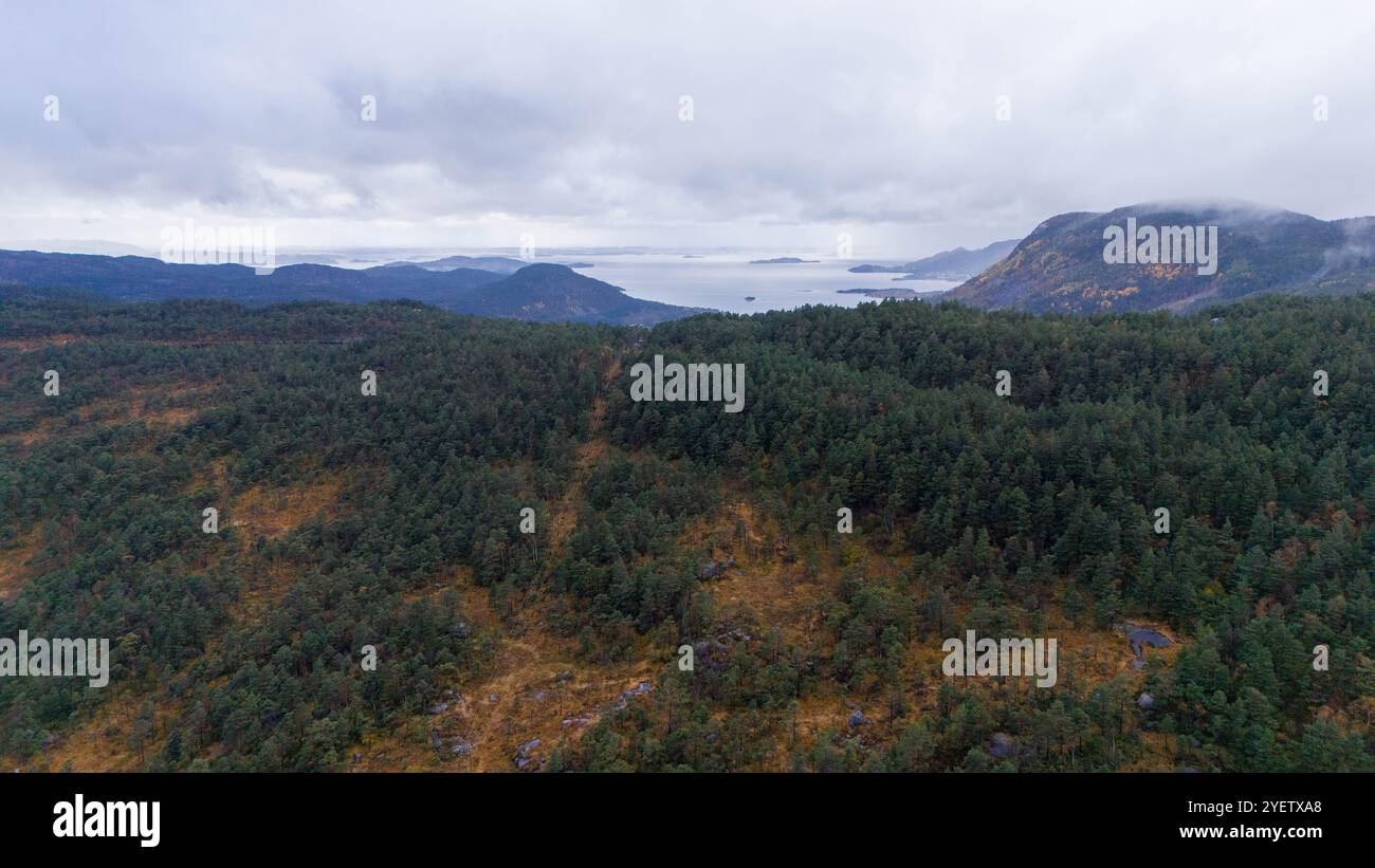 Aerial view of a lush green forest with rolling hills and a distant ...
