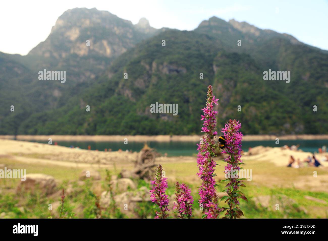 lago del mis Stock Photo - Alamy