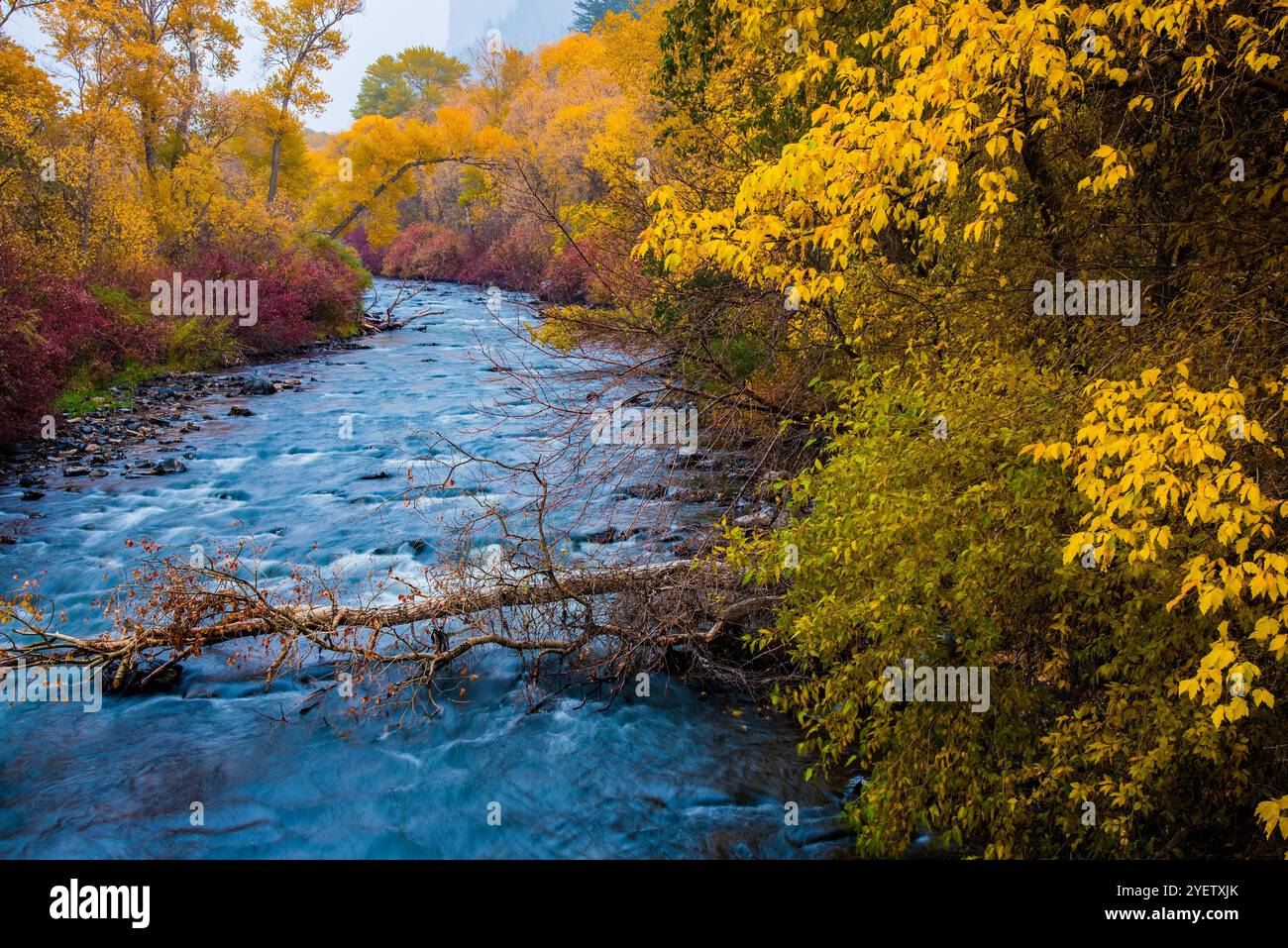 Canoeing in natural environment hi-res stock photography and images - Alamy