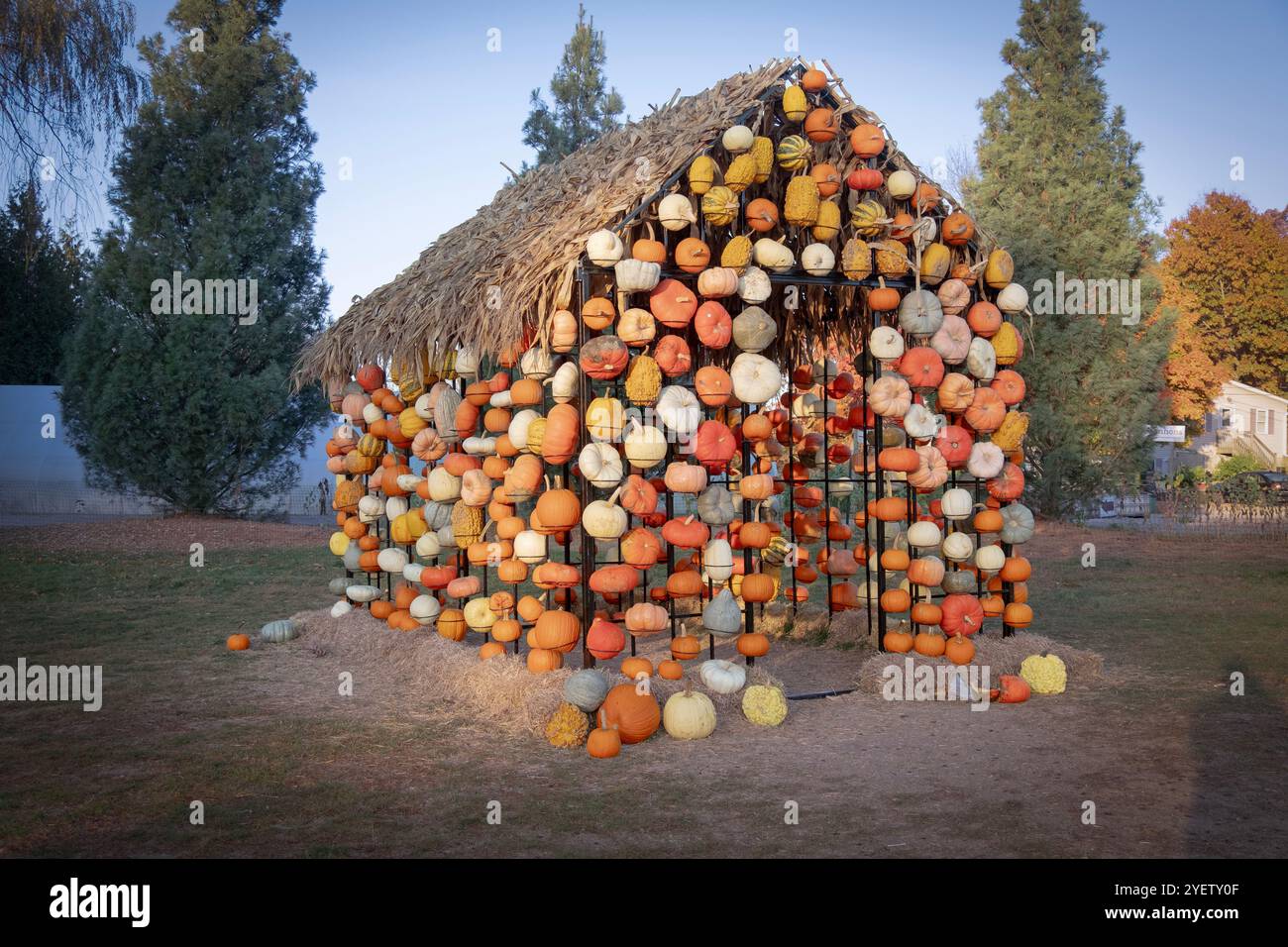 A barn shaped structure decorated with pumpkins & gourds. at the ...