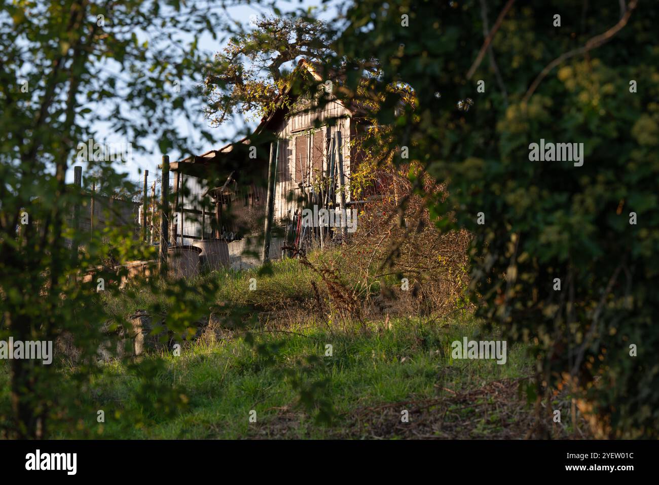 Hide place hi-res stock photography and images - Alamy