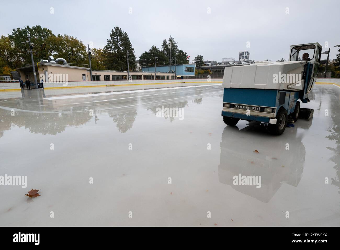 01 November 2024, Berlin: An ice resurfacing machine prepares the ice ...
