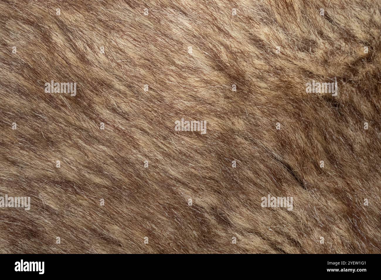 Brown animal fur, textured background Stock Photo - Alamy