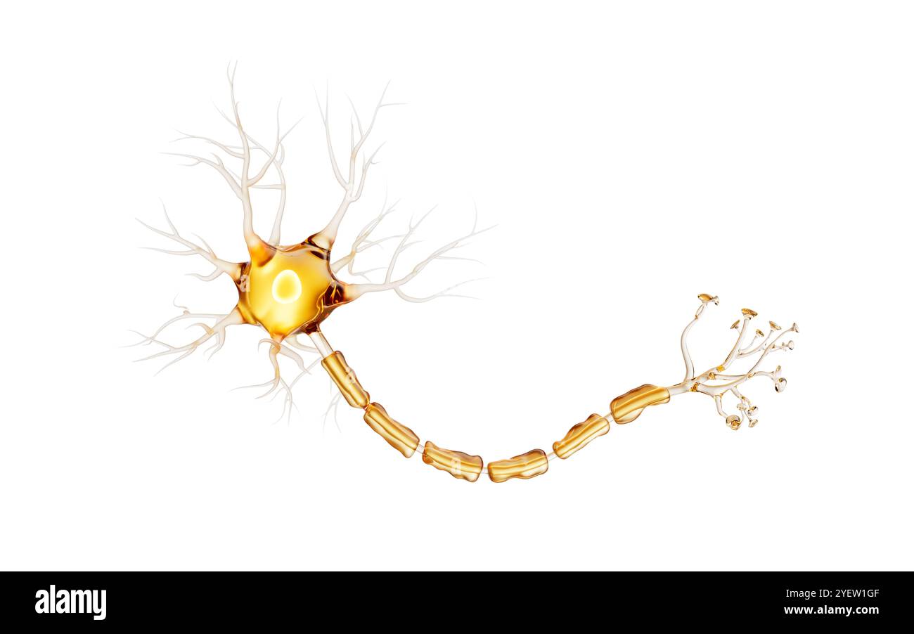 Transparent golden biology nerve cell, 3d rendering. 3D illustration ...